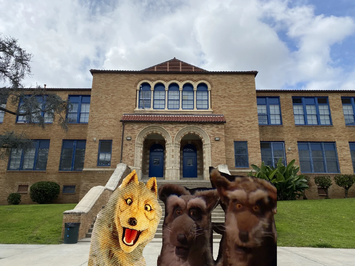Wolf University (from Muppets TV Canada) | Fan art Fun Wiki | Fandom