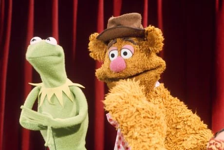 Kermit the Frog shows the script about 30 snails and 400 tortoises and ...