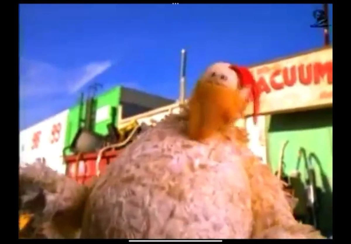 Fat Chicken (Character) | Fan art Fun Wiki | Fandom