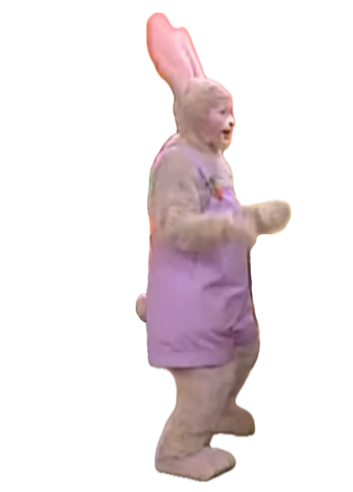 The Same Photo While I Eat Toast and Butter with a Banana Little Bunny ...