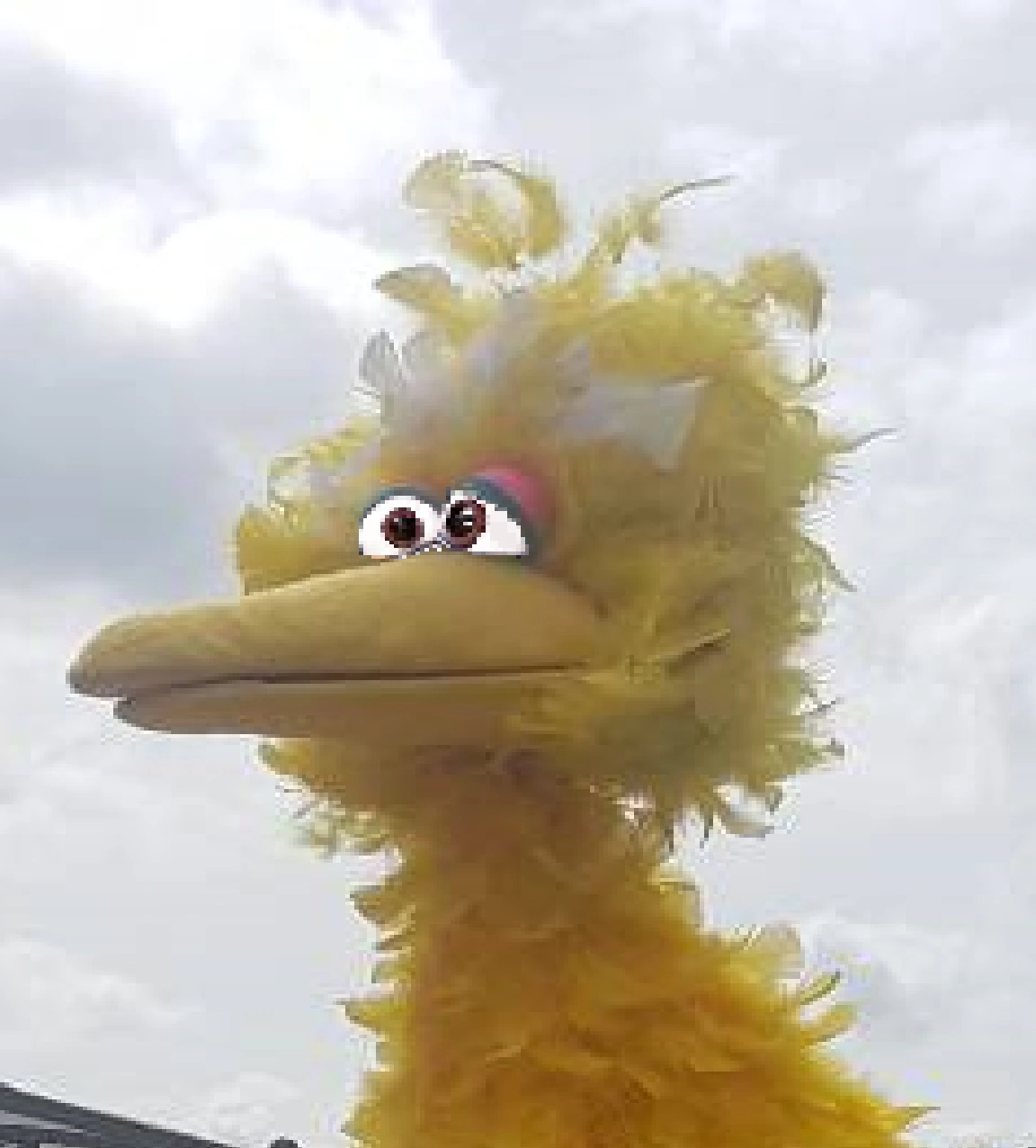 Big Bird puppet by Axtell (Axtell Expressions stuff) | Fan art Fun Wiki ...