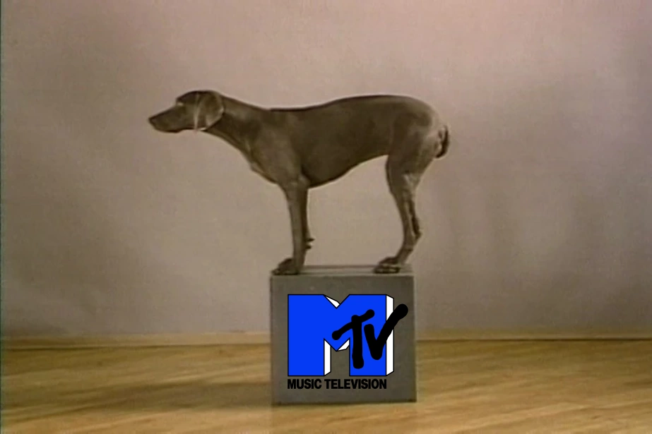 MTV ID - Dog Box (1992-1995) (YouTube stuff) | Fan art Fun Wiki | Fandom
