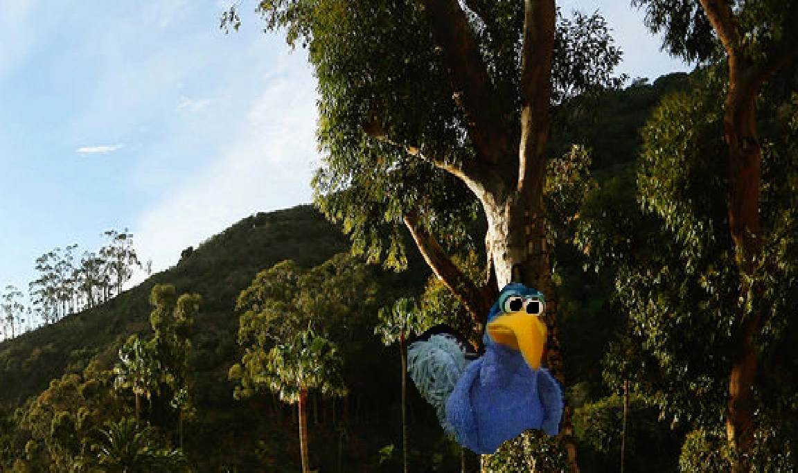 Bob Bird | Fan art Fun Wiki | Fandom