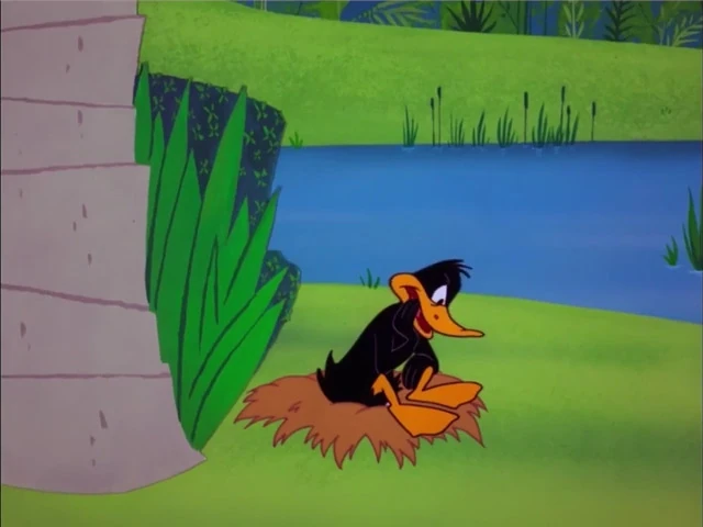 Daffy Duck's head got turned into a seal head, but Daffy gets mad raged ...