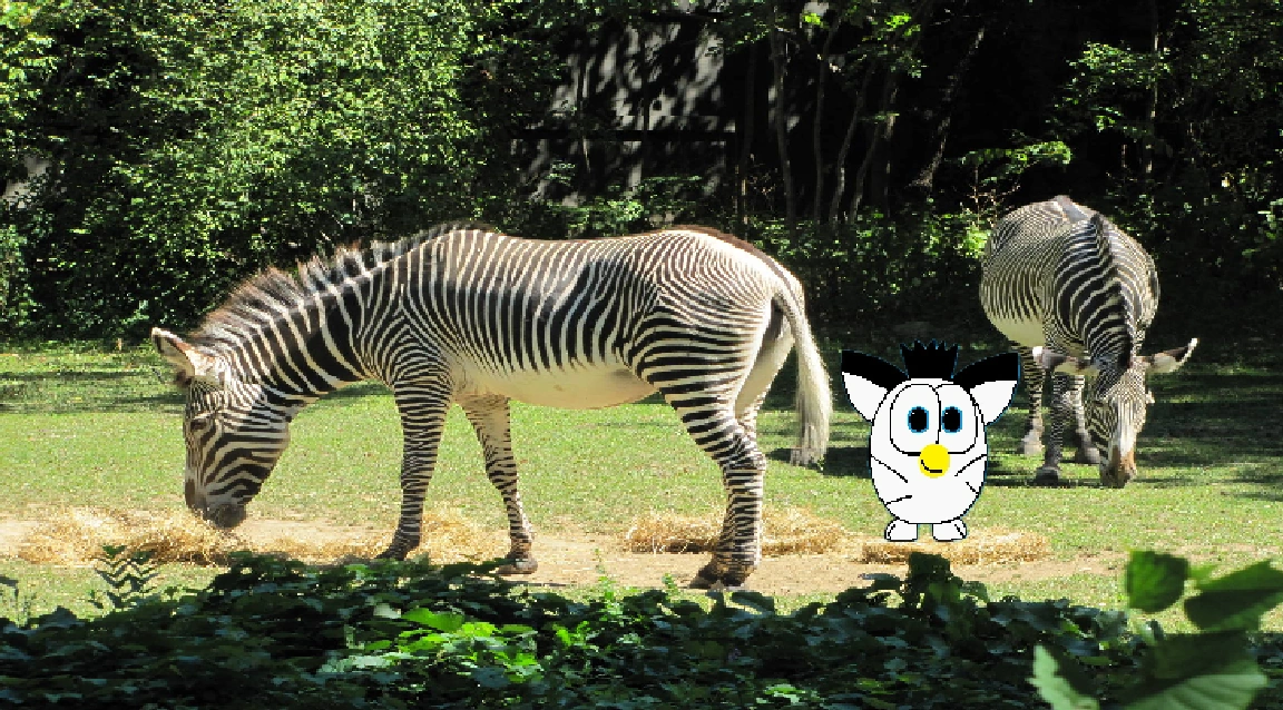 Zebra Furby in the zoo (Official Furby Wiki stuff) | Fan art Fun Wiki ...