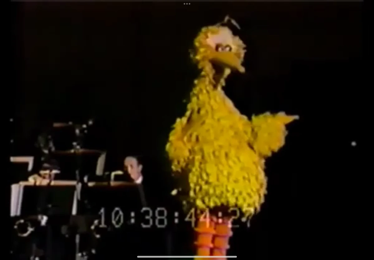 Big Bird (World Puppetry Festival) | Fan art Fun Wiki | Fandom