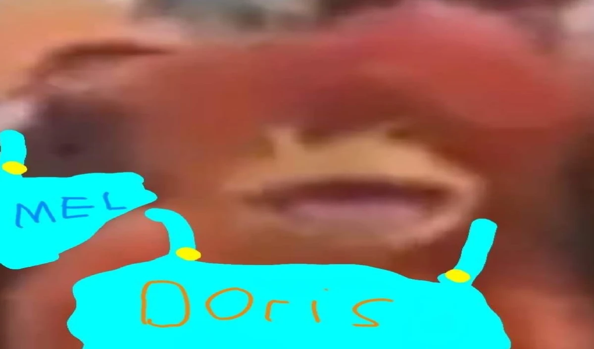 The Same Photo While I Pooped a Big One Doris Bird (from The Muppet ...