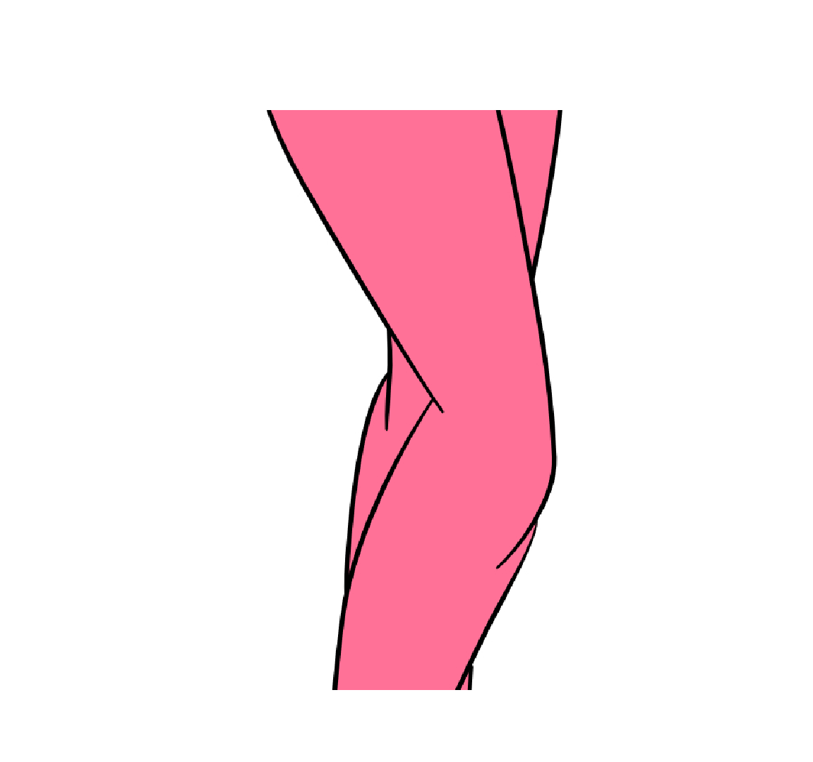 Katie KaBoom’s leggings (Animaniacs) vectors by timmybrisbyfan1925 ...