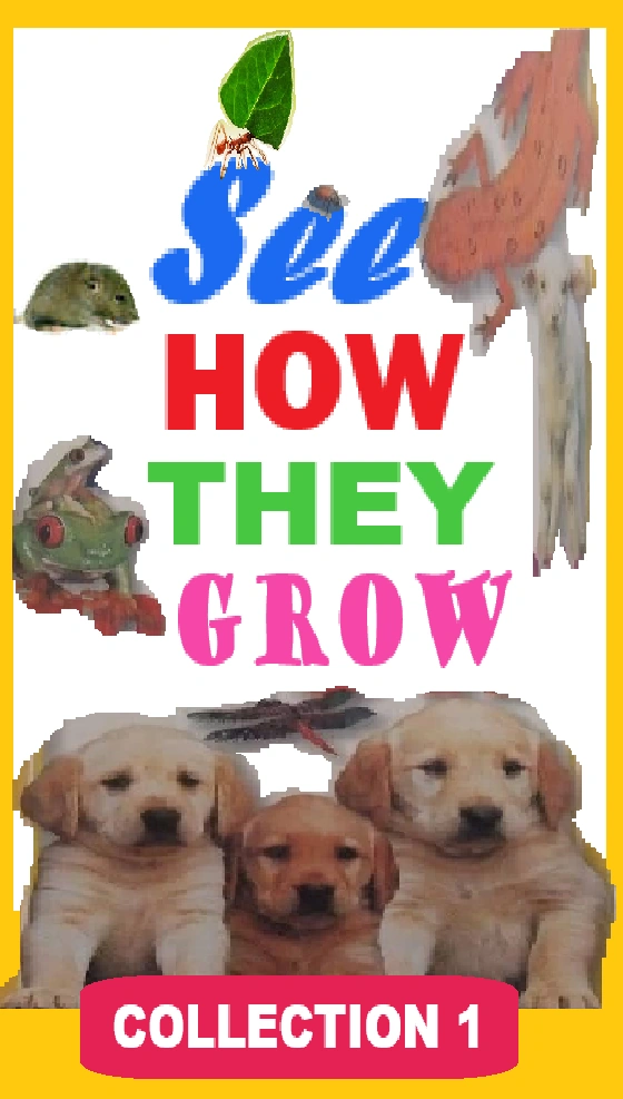 See How They Grow Collection 1 (Sony Wonder, Random House, VHS, 1997 ...