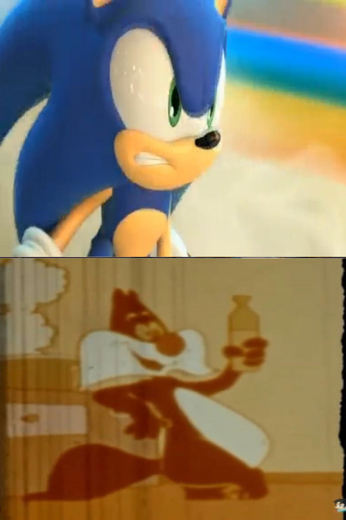 Sonic The Hedgehog Hates Gatto Evaristo By Maxiethefox2005 Deviantart