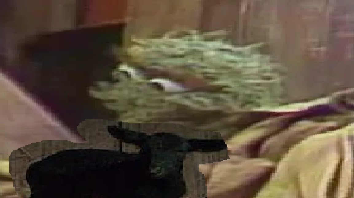 Oscar's pet lamb (1984) (Muppet Wiki stuff) | Fan art Fun Wiki | Fandom