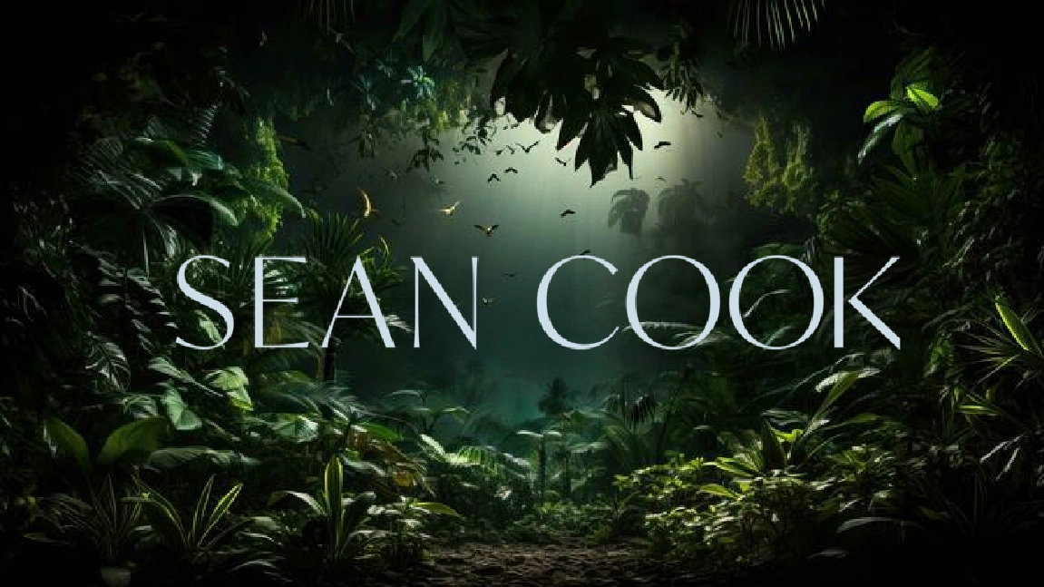 Sean Cook (The Dubbing Database Stuff) | Fan art Fun Wiki | Fandom