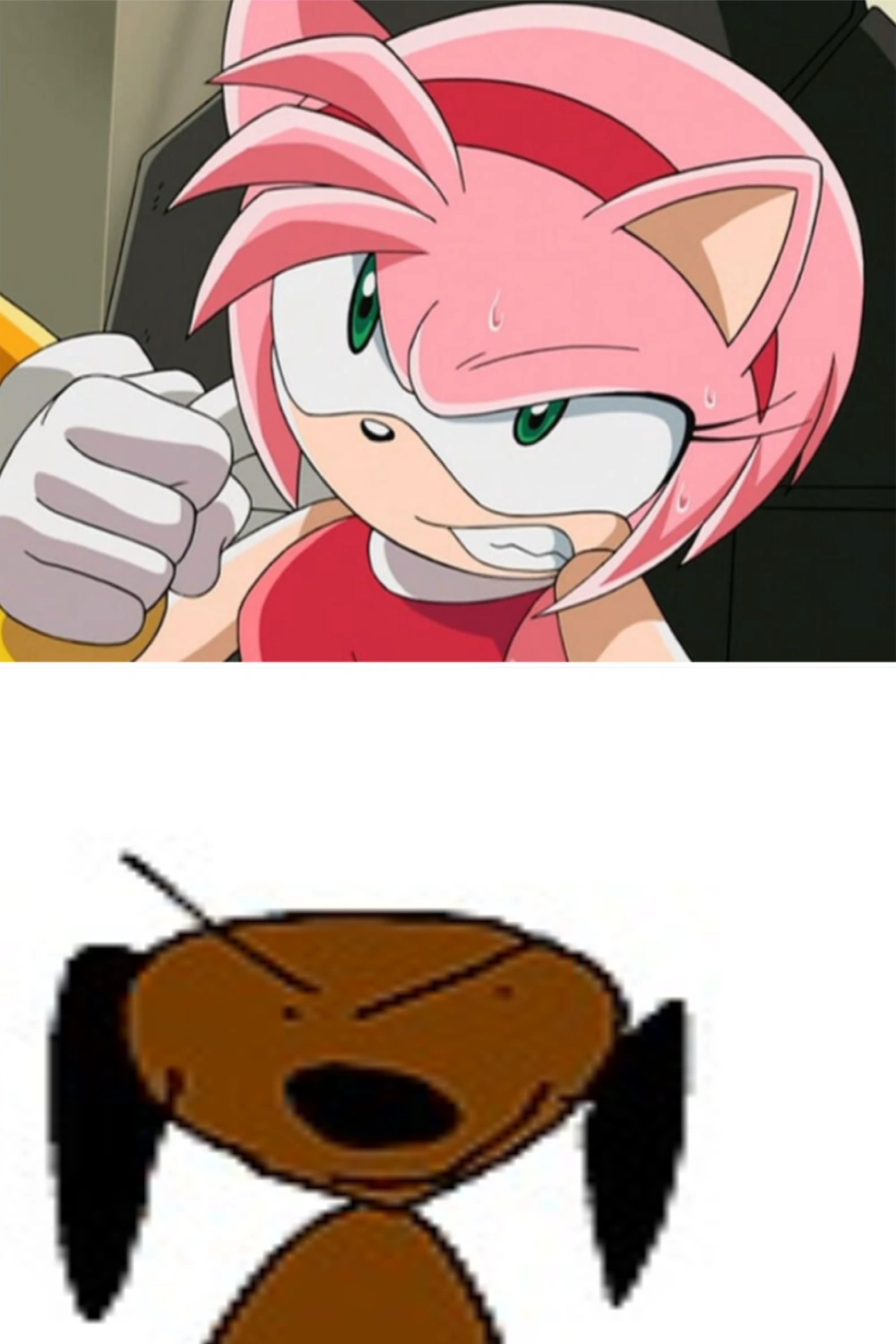 Amy Rose Hates Dogofficial by MaxietheFox2005 (DeviantArt stuff) | Fan ...