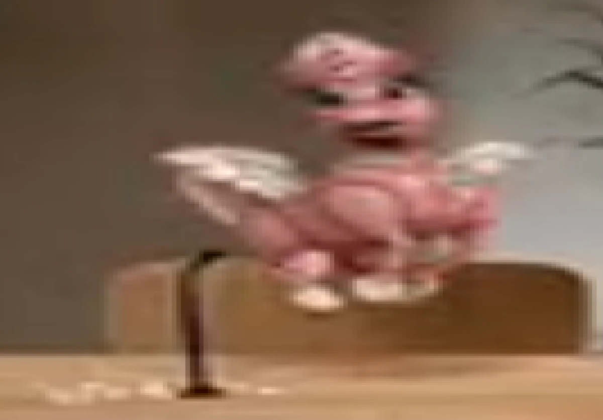 Trixie the tiny pink flying unicorn by MaxietheFox2005 (DeviantArt ...