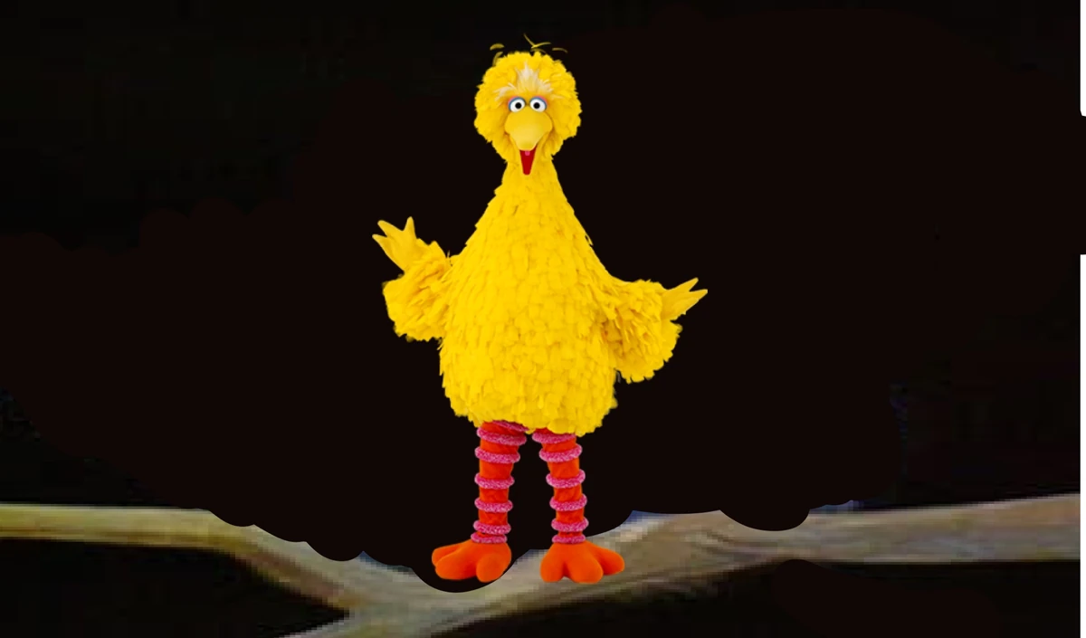 Big Bird | Fan art Fun Wiki | Fandom