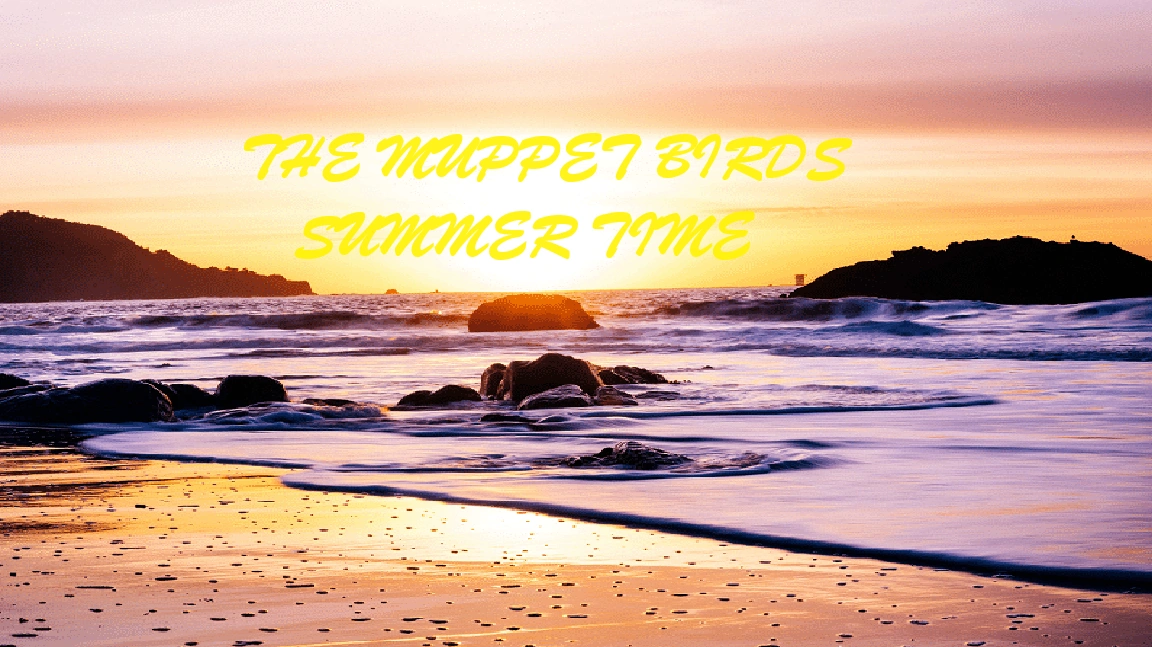 Muppet Birds Summer Time | Fan art Fun Wiki | Fandom