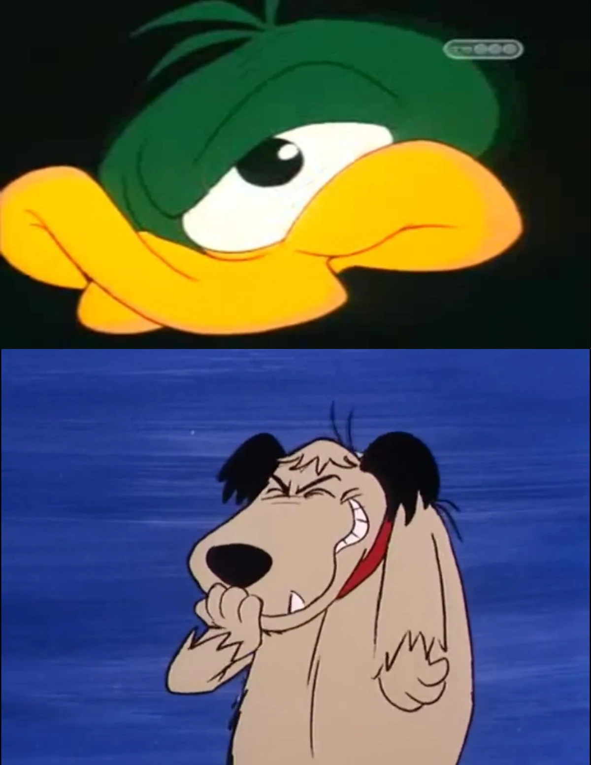 Muttley Laughs at Plucky Duck's head by joseluislobatohumane ...