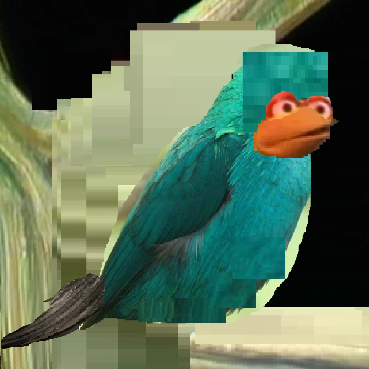 Phoebe Bird | Fan art Fun Wiki | Fandom