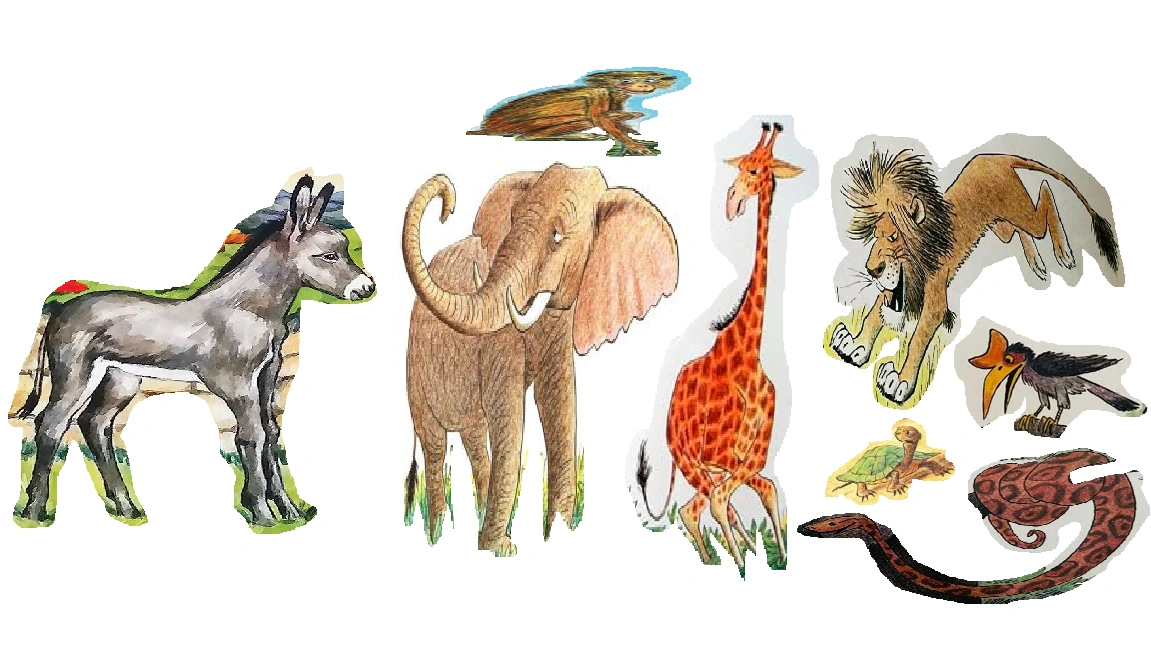 The Magic of Donkey Wisdom (A Jungle Tale, Tolowa M. Mollel, Barbara ...