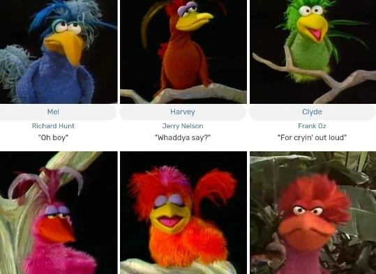 The Muppet Birds List | Fan art Fun Wiki | Fandom