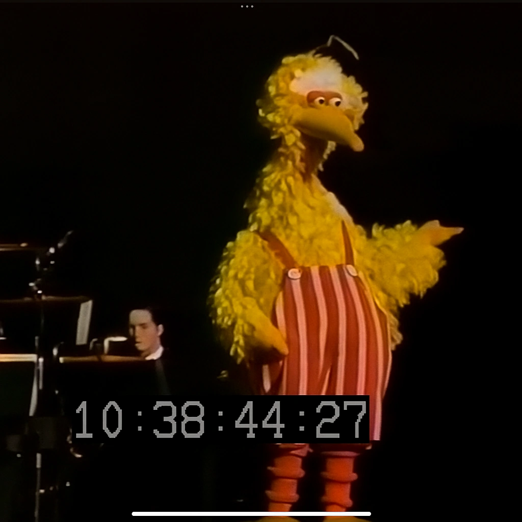 Big Bird (World Puppetry Festival) V2 | Fan art Fun Wiki | Fandom