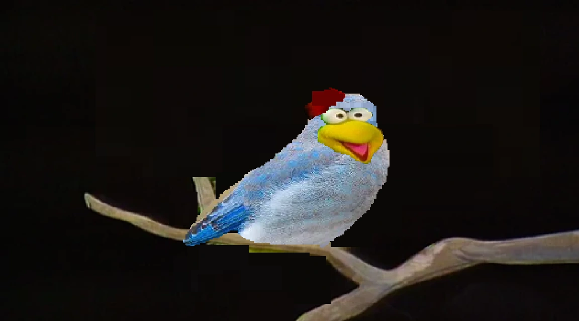 Finn Bird | Fan art Fun Wiki | Fandom