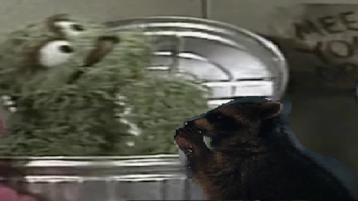 Oscar's pet raccoon (1987) (Muppet Wiki stuff) | Fan art Fun Wiki | Fandom