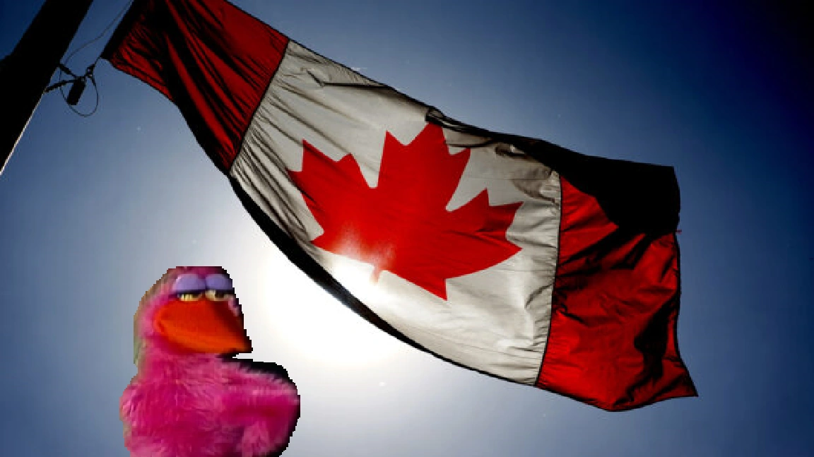 Judy the Pink Bird (From Muppets TV Canada) | Fan art Fun Wiki | Fandom