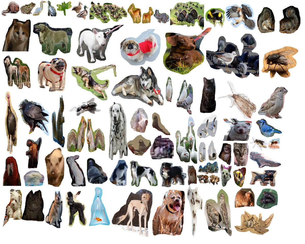 Many animals and pets in locations with human friends (people holding ...