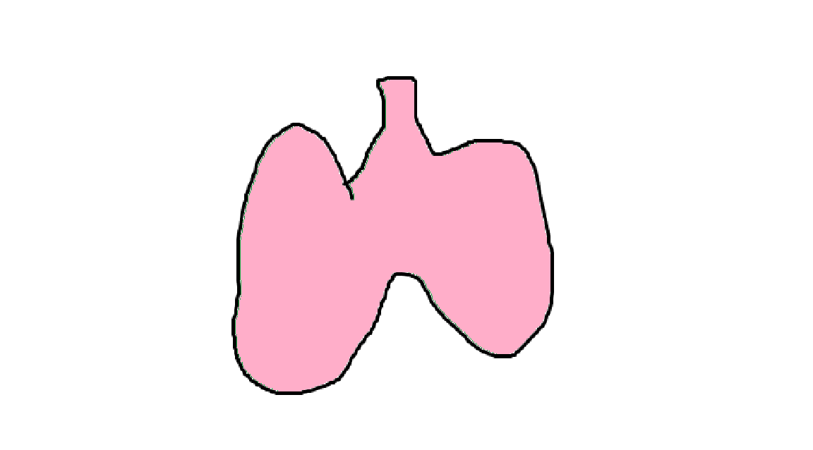 Patrick’s lungs (SpongeBob SquarePants) by timmybrisbyfan1925 ...
