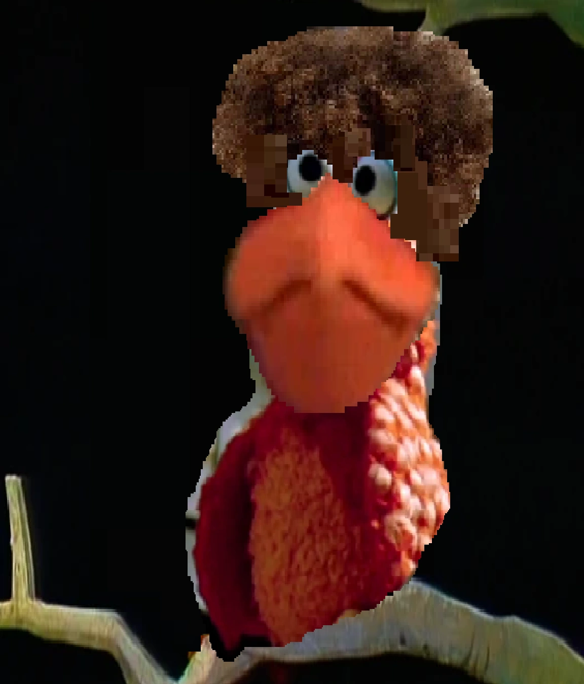 Chester Bird | Fan art Fun Wiki | Fandom