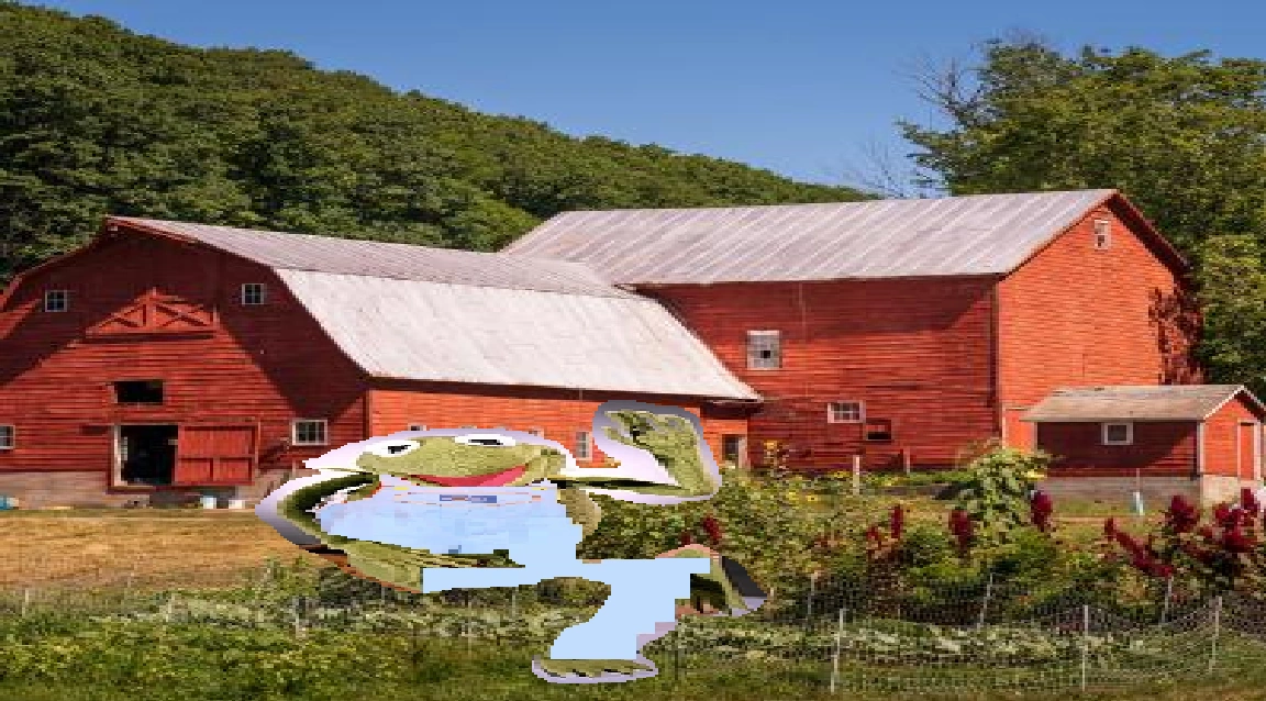 Kermit the Frog on the Farm | Fan art Fun Wiki | Fandom