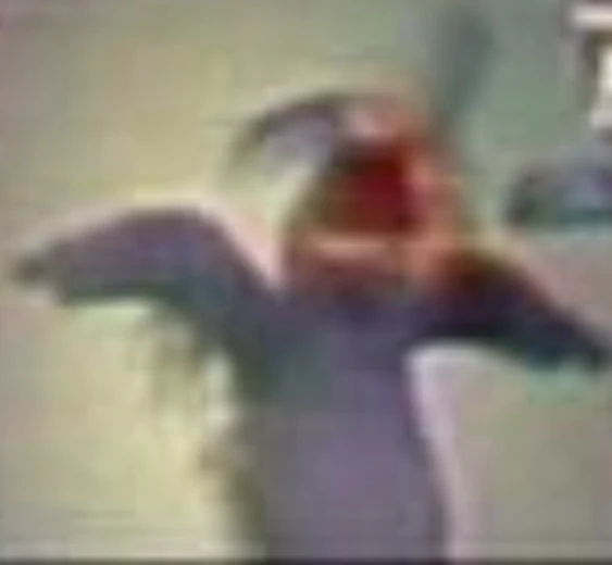 Mel Bird (The Muppet Show Theme) | Fan art Fun Wiki | Fandom