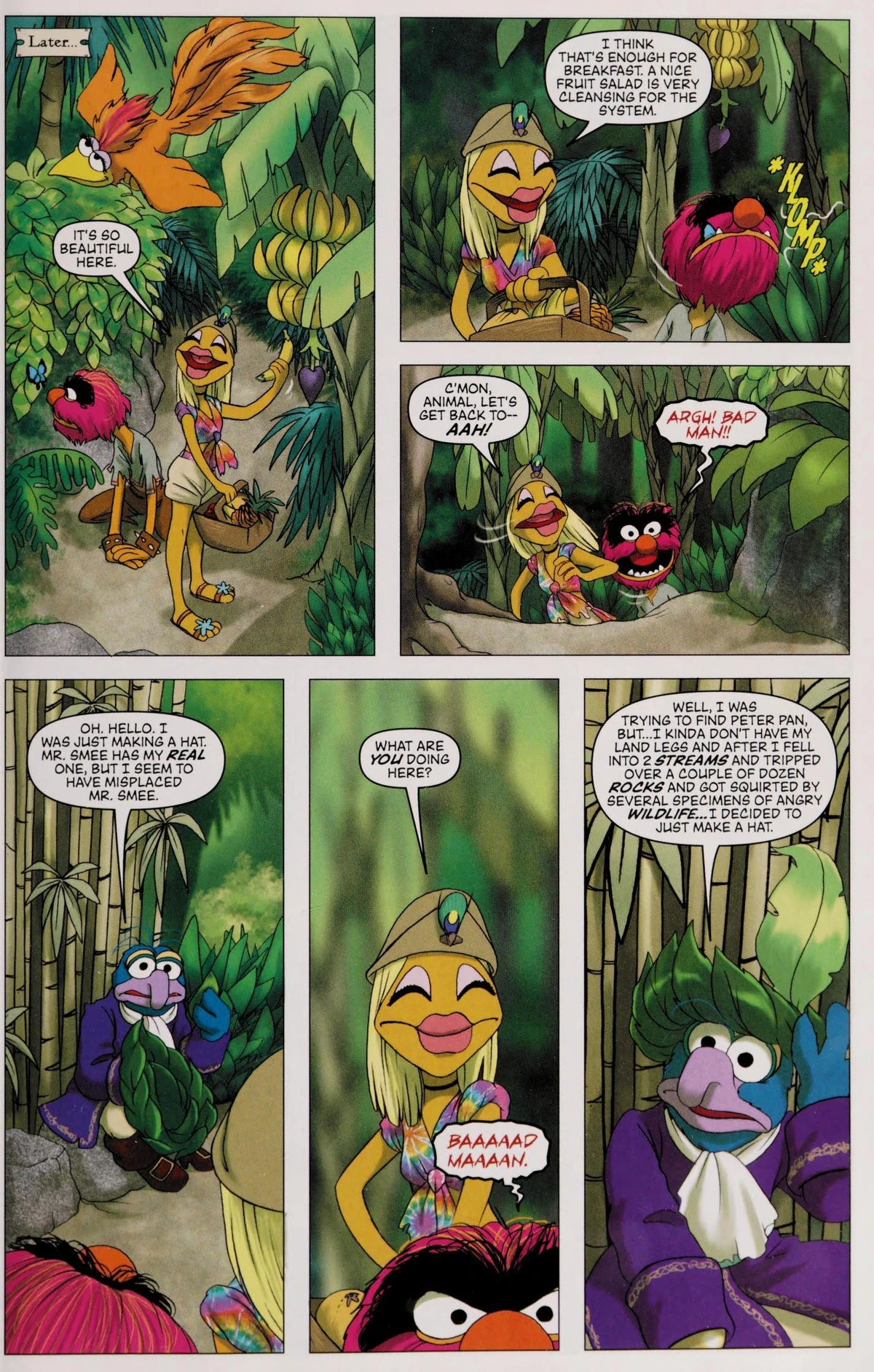 Harvey Bird (Muppet Peter Pan Comic) | Fan art Fun Wiki | Fandom