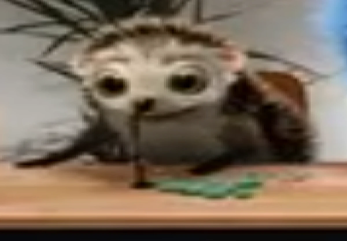 Prickles the hedgehog by MaxietheFox2005 (DeviantArt stuff) | Fan art ...