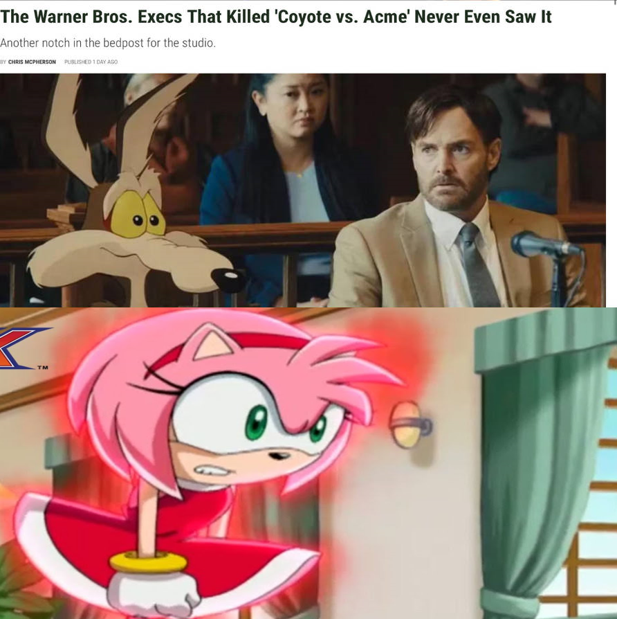 Amy Rose Angry At Coyote Vs Acme Cancellation By Maxiethefox2005