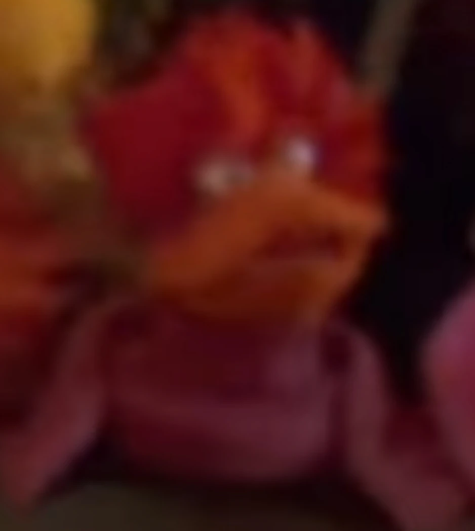 Duke Bird (The Muppet Movie) | Fan art Fun Wiki | Fandom