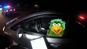 Clyde Bird driving in highway road (Muppet Wiki stuff) | Fan art Fun ...