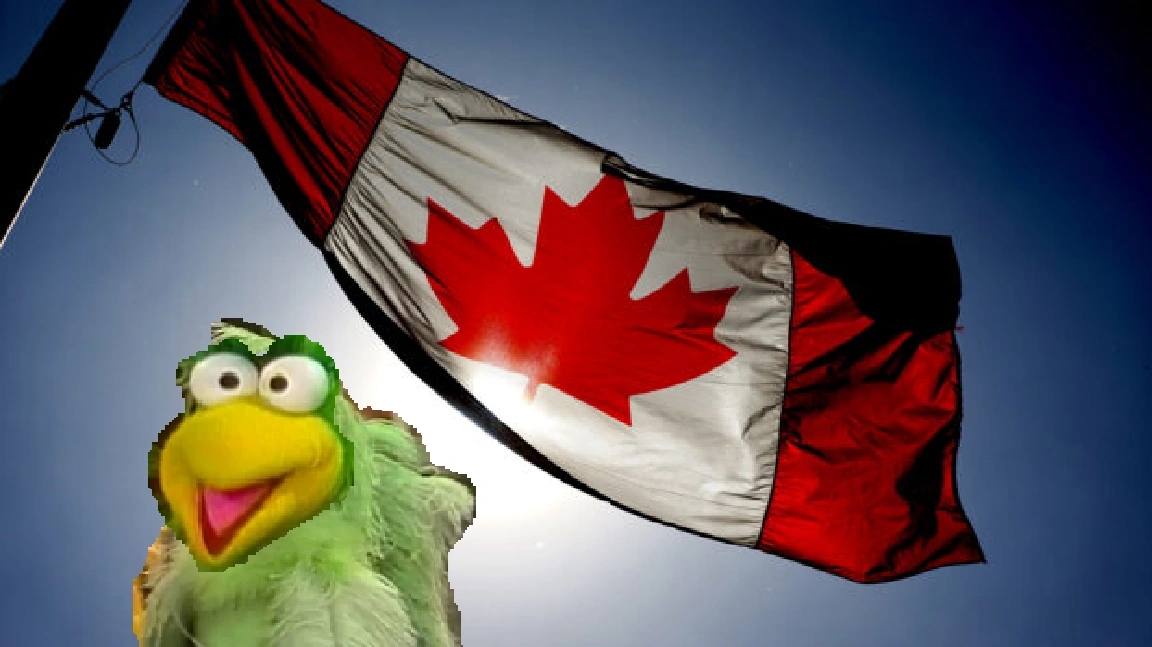 Robert the Green Bird (from Muppet Tv Canada) | Fan art Fun Wiki | Fandom
