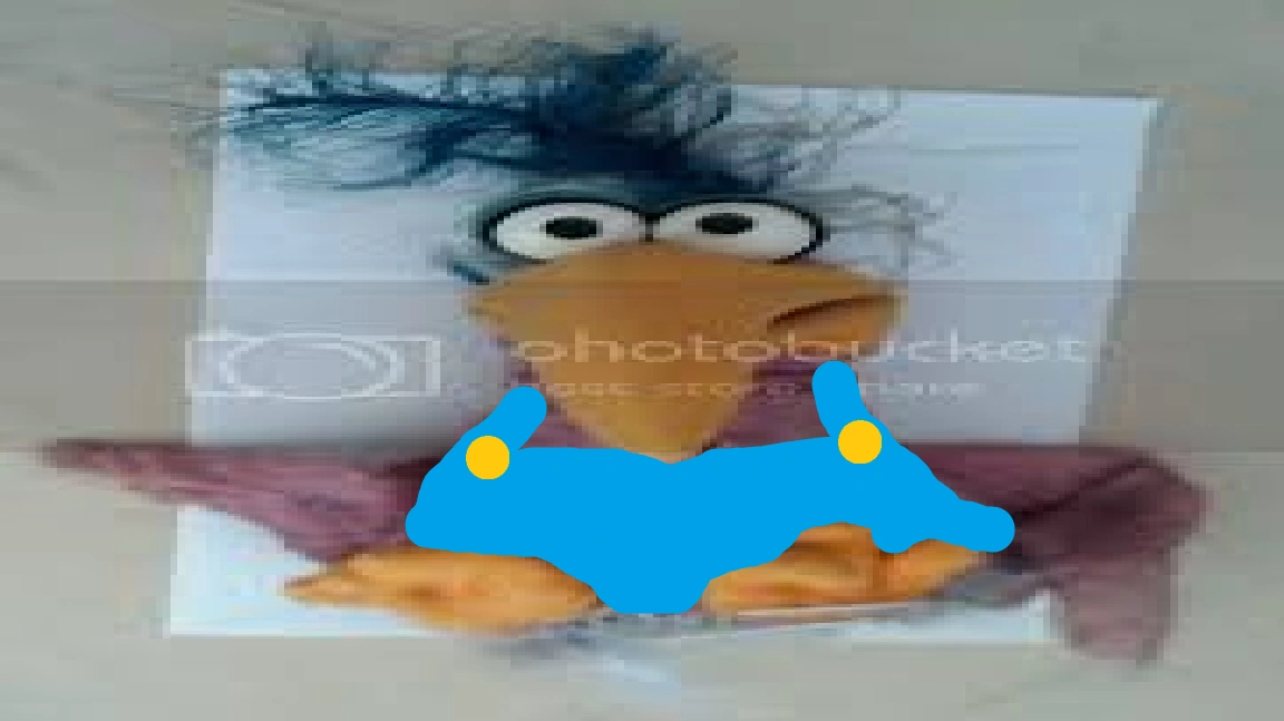 The Same Photo While I Eat Muffins and Jelly with a Banana Mel Bird V5 ...