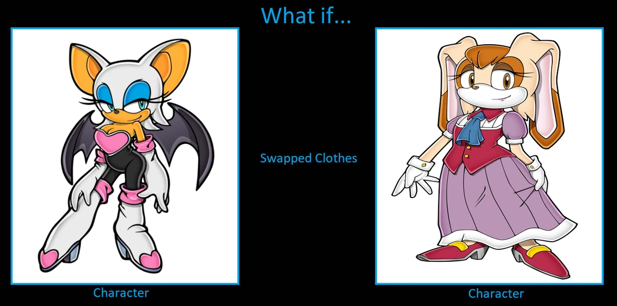 What if Rouge the Bat and Vanilla the Rabbit clothes swap by ...