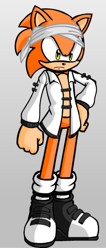 Mark The Hedgehog | Wiki Fan Characters Sonic | Fandom