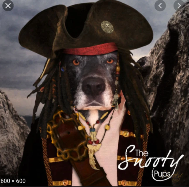 Captain Ruffhouse | Fan Fiction Villains Wiki | Fandom