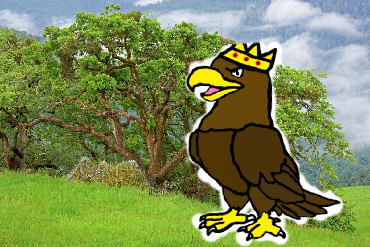 The Eagle King | Fan ideas Ivandoe Wiki | Fandom