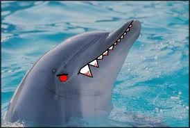 Evil Dolphins | Fan Made Kaiju Wikia | Fandom