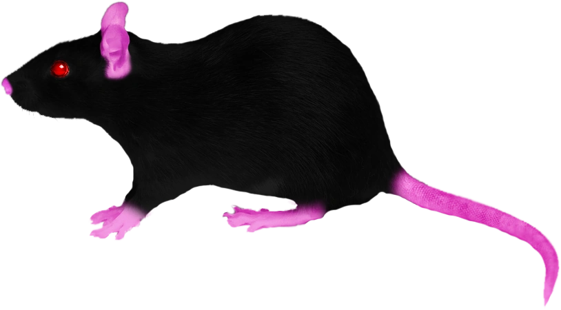 Ratzilla | Fan Made Kaiju Wikia | Fandom