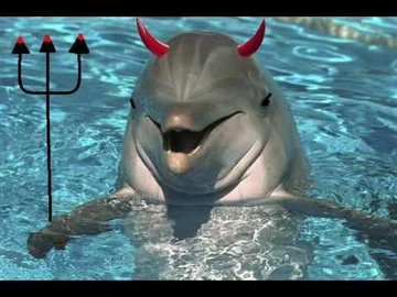 how to draw evil dolphins