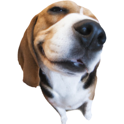 Beagle | Fan Made Nextbots Wiki | Fandom