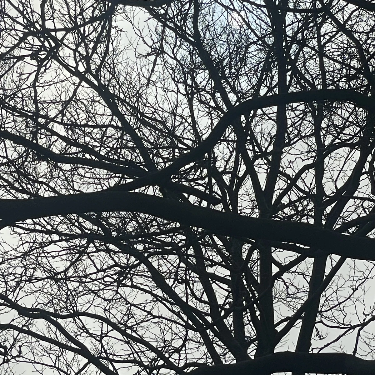 SCP-7256 (The White Sun) | Fan Made SCP’s Wiki | Fandom