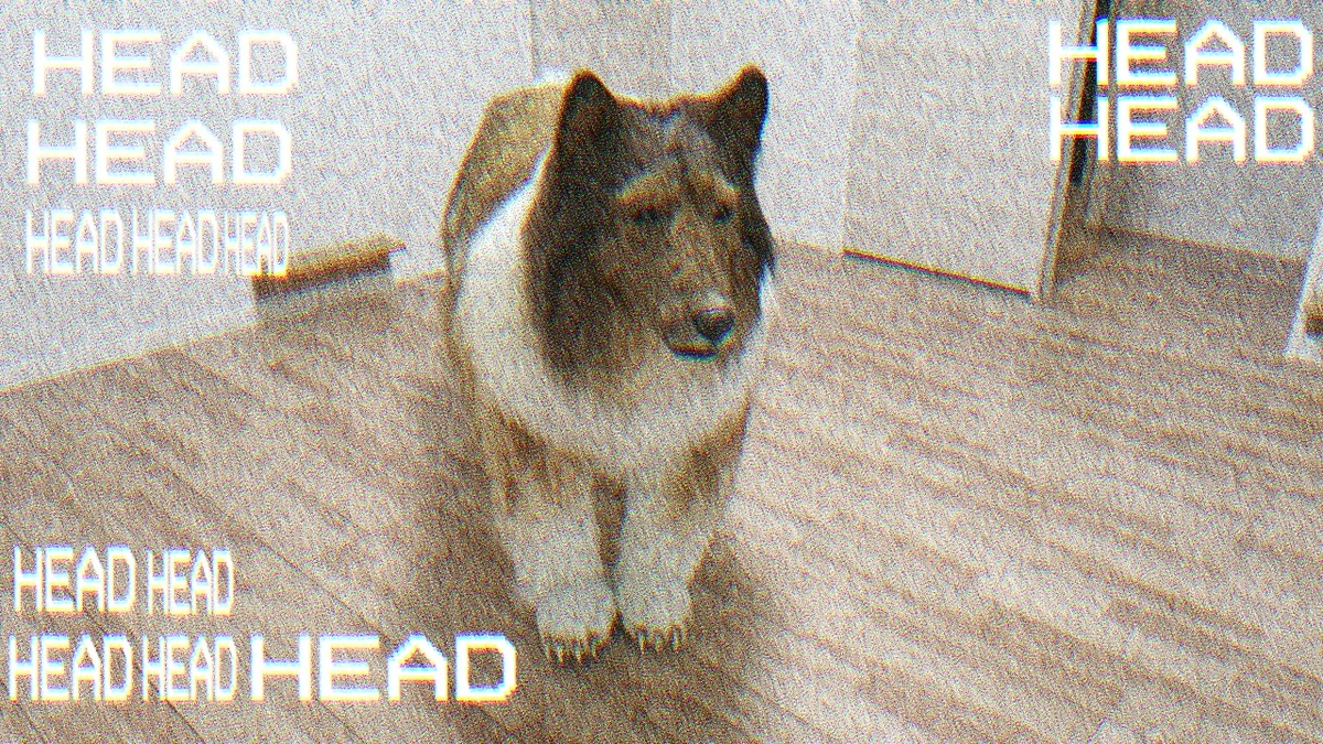 SCP-22000-B | Fan Made SCP’s Wiki | Fandom